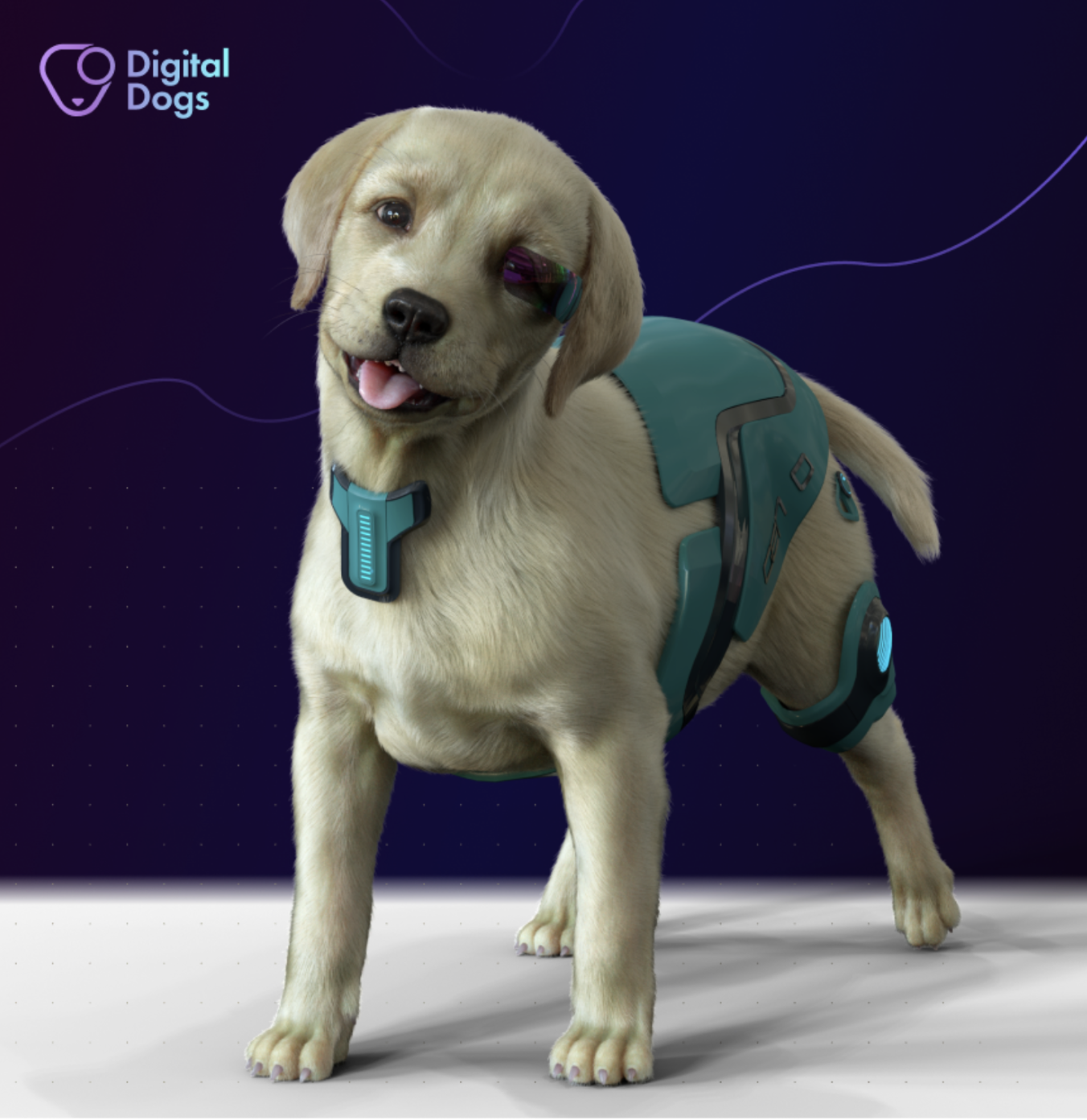 Why on earth are people investing in metaverse pets? | Sifted