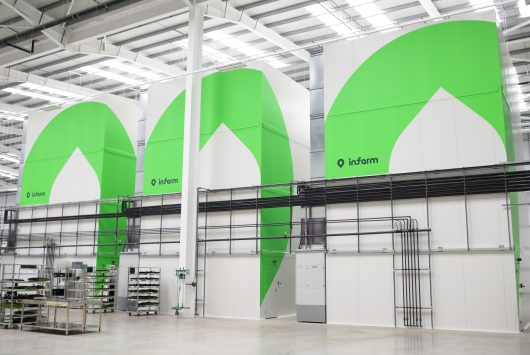 Can vertical farming survive the downturn? | Sifted