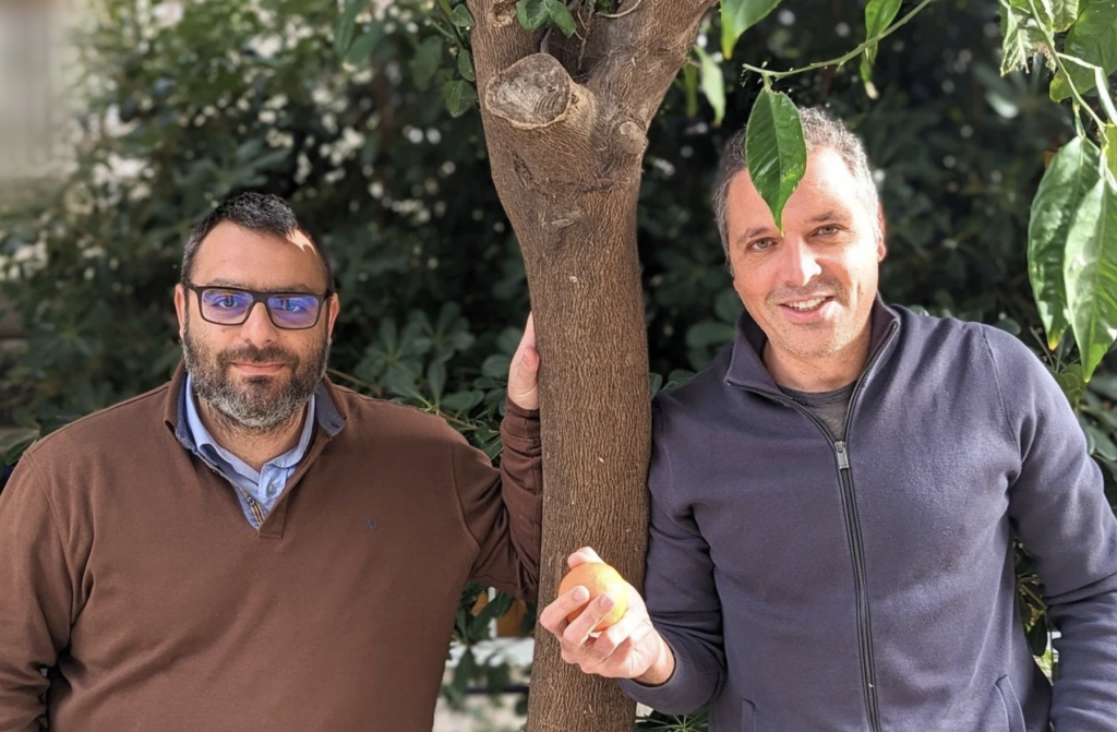 Athens’s Wikifarmer raises €5m as VCs look to Greece | Sifted